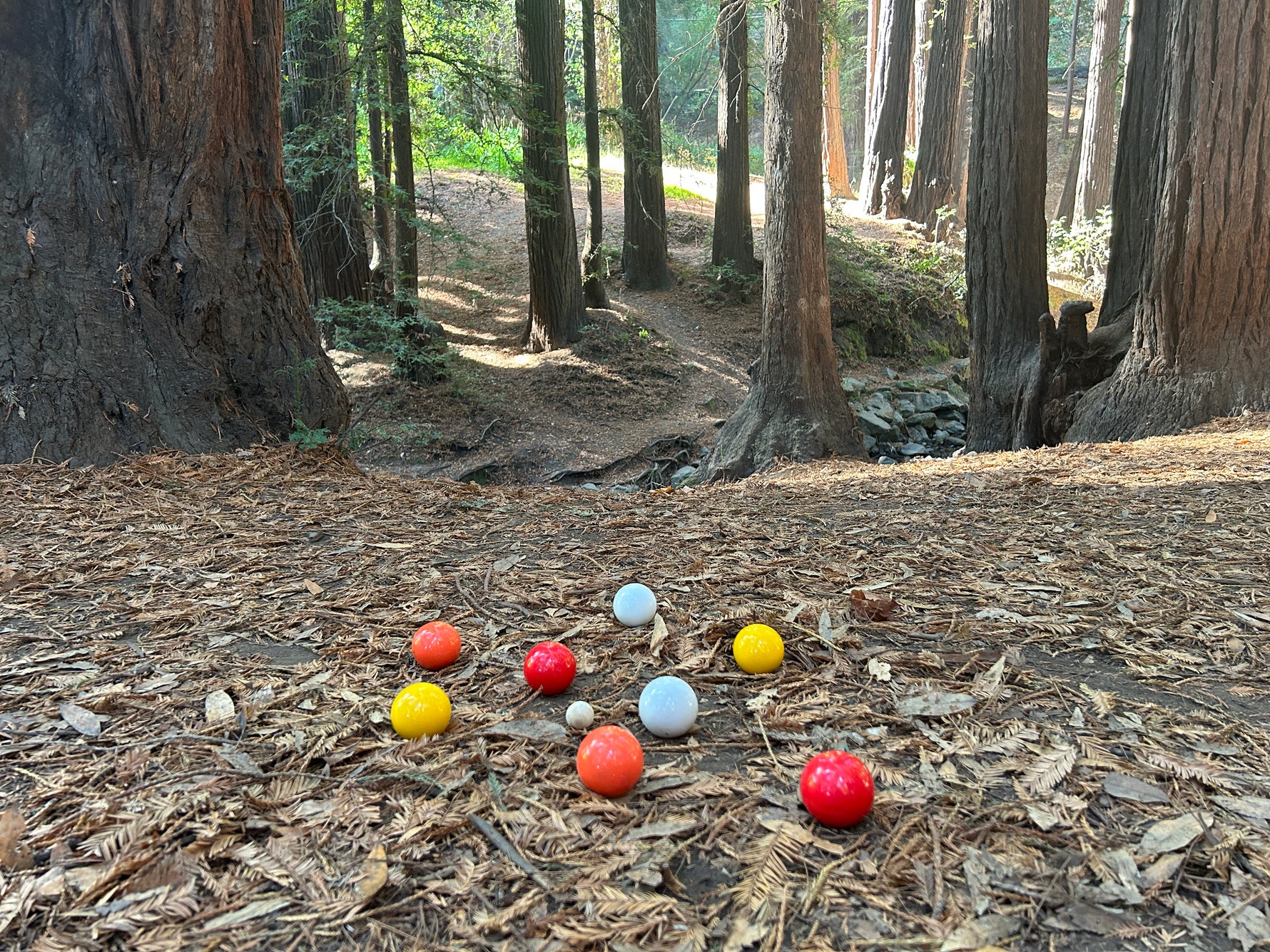 BuyBocceBalls